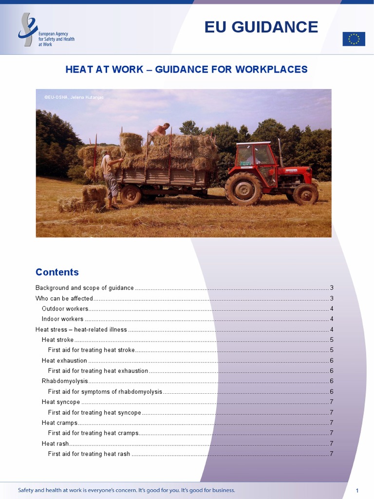 Heat Stress Guide Guidance For Workplaces - en | PDF | Hyperthermia ...