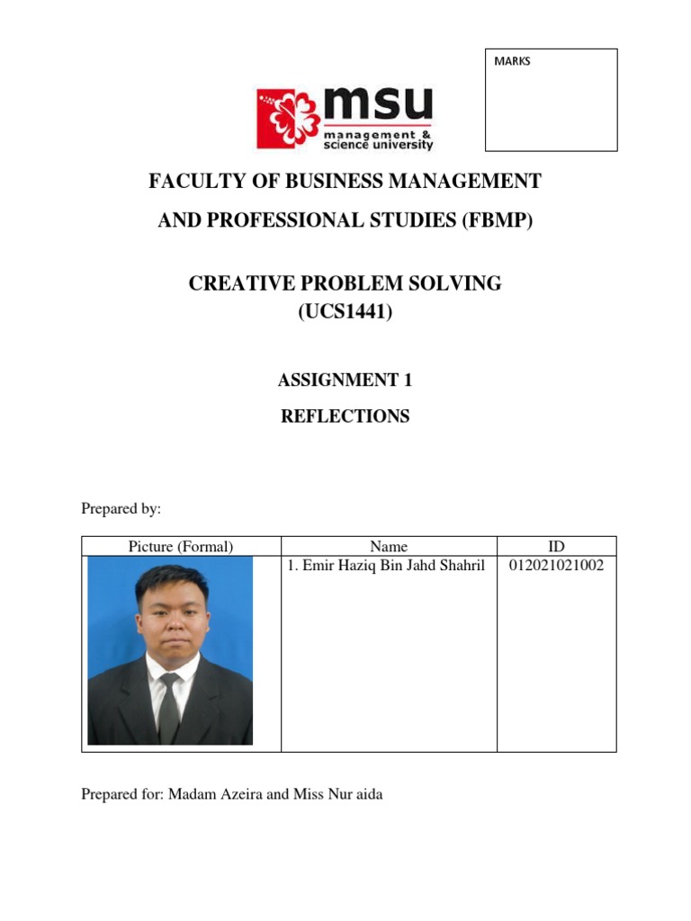 Reflections on Creative Problem Solving | PDF