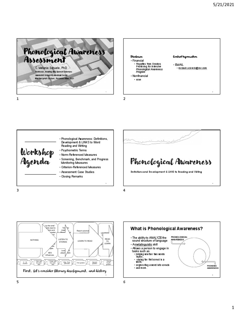 Phonological Awareness Assessment Insights | PDF