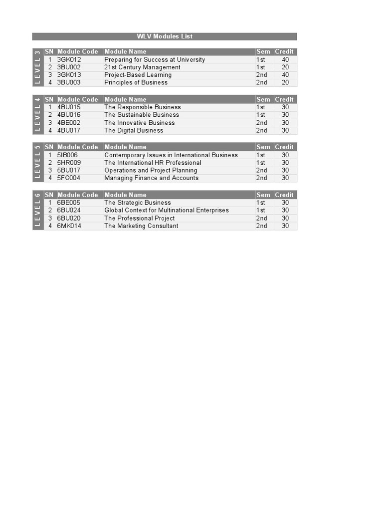 BIBM Module List 21 - 22 | PDF