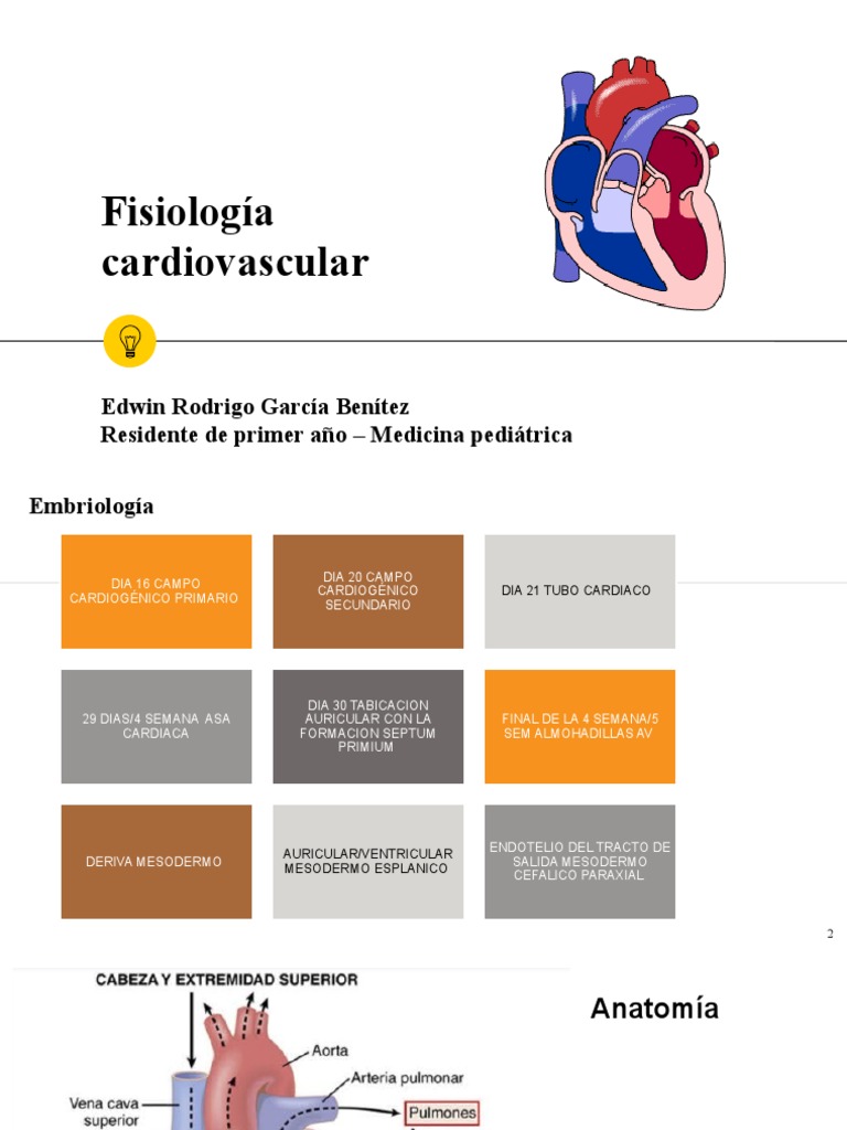 Fisiologia Cardiaca