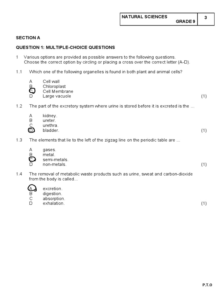 Grade 9 Practice Paper | PDF