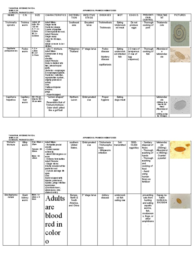 Aphasmids and Phasmids | PDF
