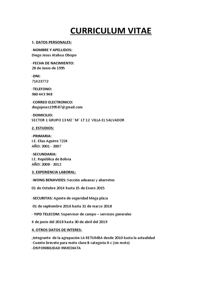 Curriculum Vitae Diego | PDF