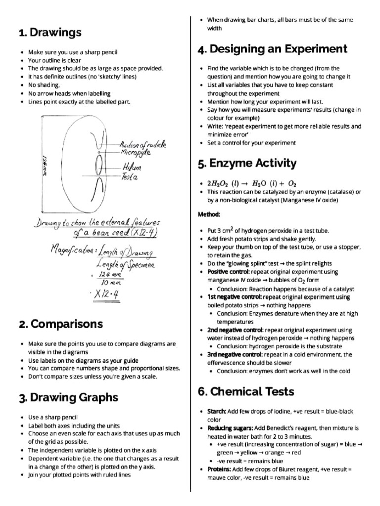 Biology ATP Revision Notes | PDF