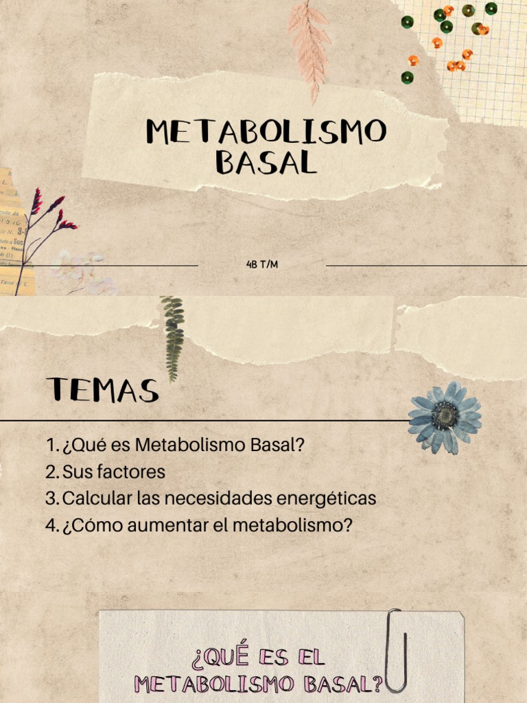 Metabolismo Basal | PDF