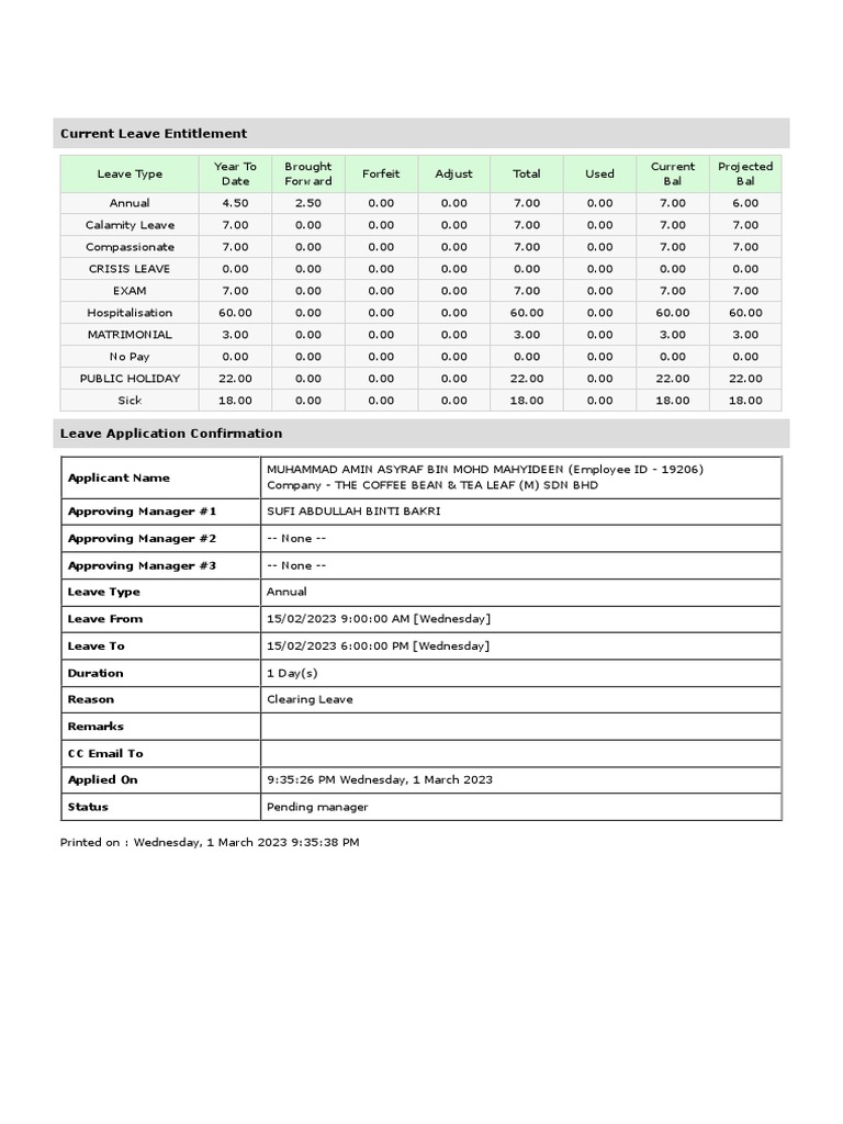 Employee Leave Summary | PDF
