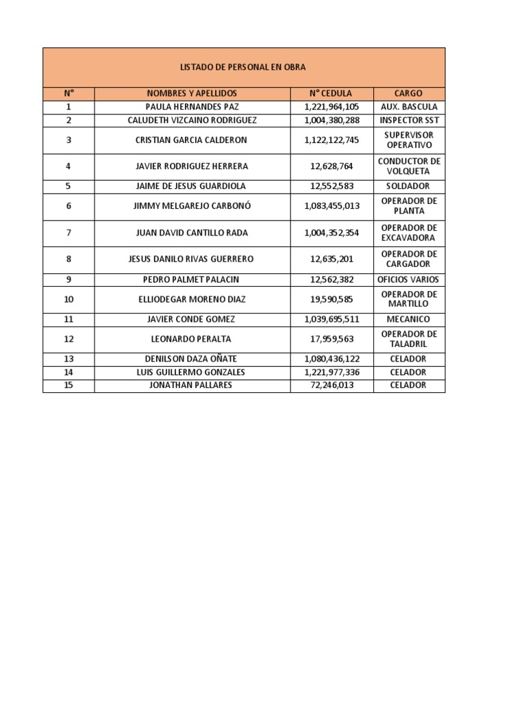 Listado de Personal en Obra | PDF