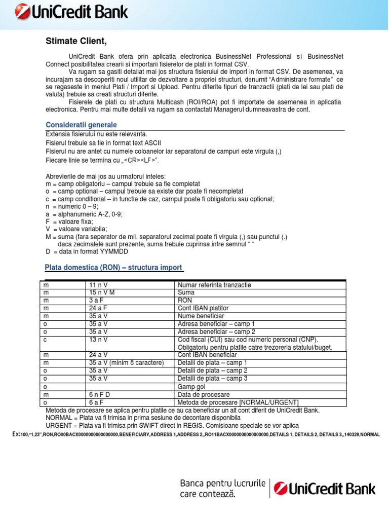 Structura Fisiere Plati CSV - BusinessNet | PDF