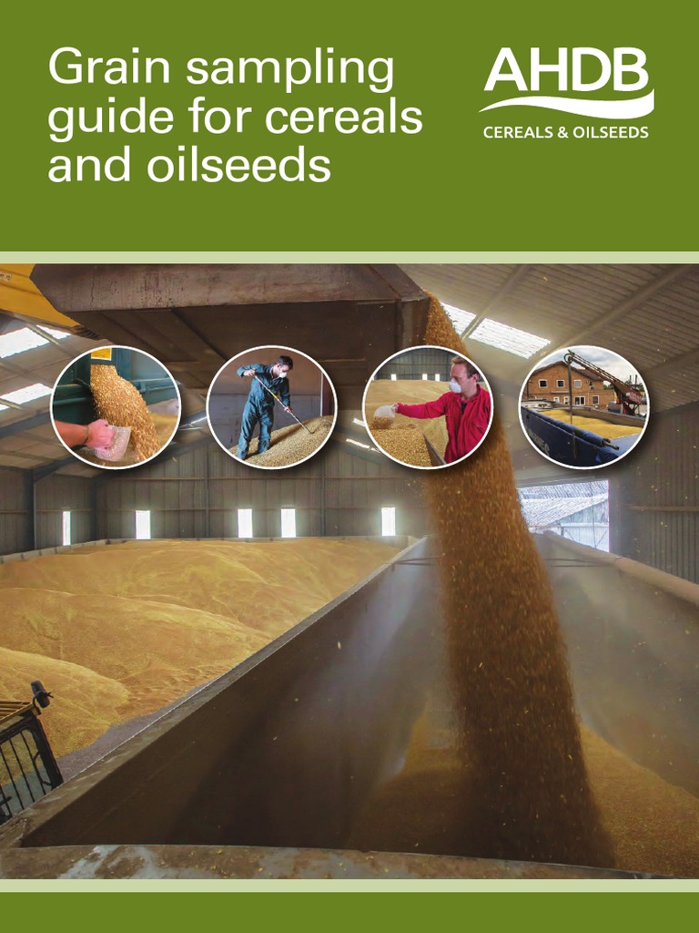 Effective Grain Sampling Guide | PDF