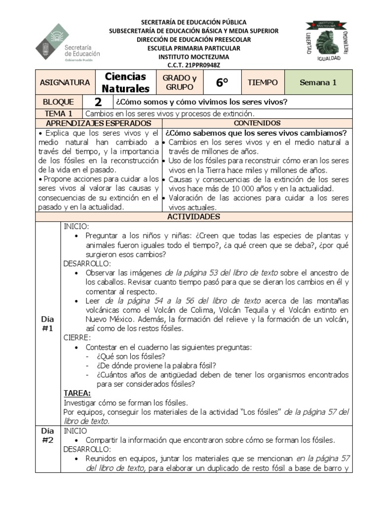 Noviembre - 6to Grado Ciencias Naturales (2022-2023) | PDF | Educación ...