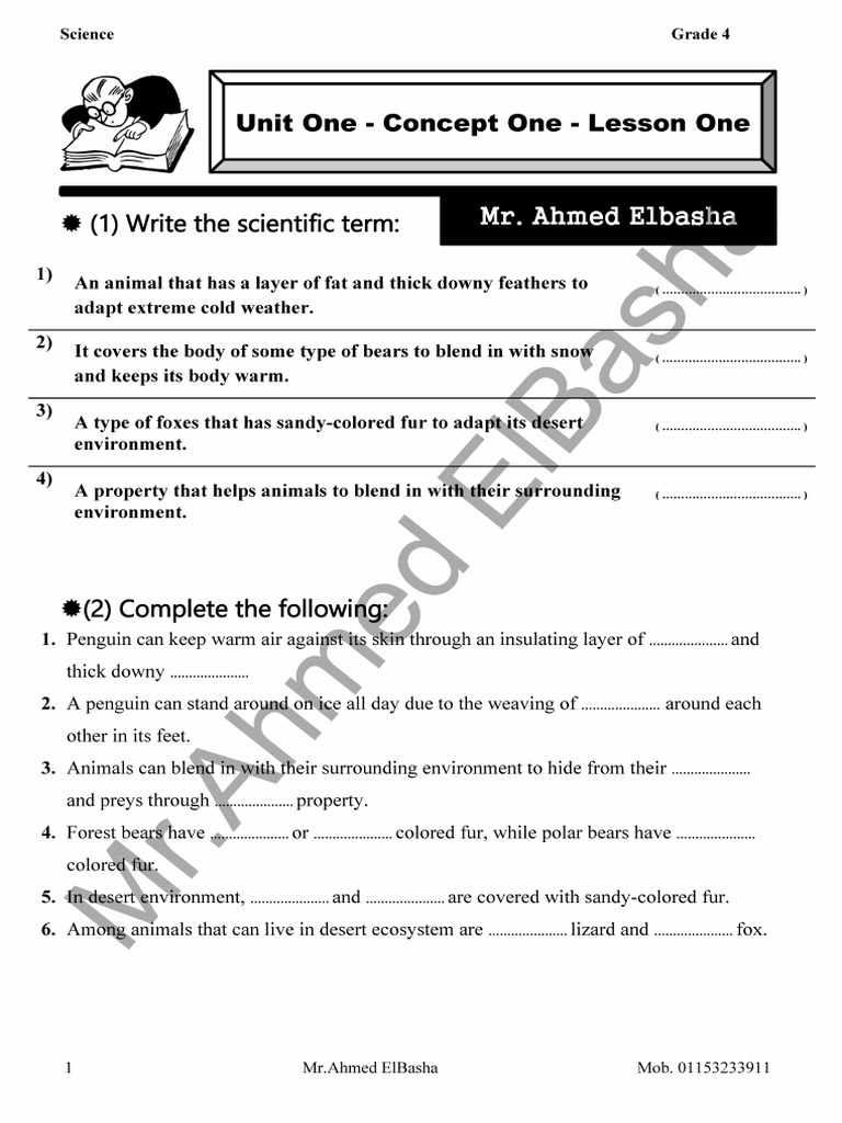 G4 Concept 1 Lesson 1 - Exercise | PDF