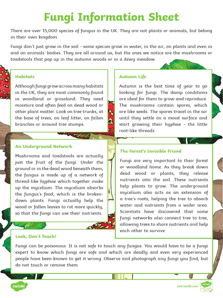 Fungi Information Sheet | Download Free PDF | Fungus | Trees