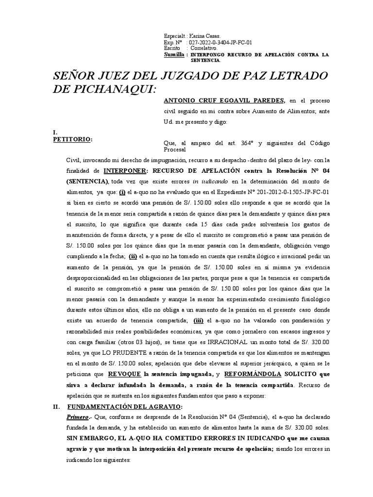 Recurso de Apelación de sentencia-COMPLETO | PDF | Apelación | Sentencia (ley)
