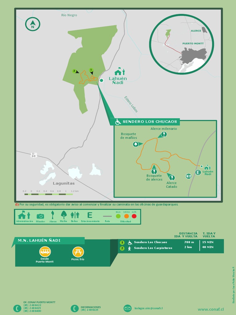 Folleto-MNLÑ-2017 | PDF | Arboles | Ecología