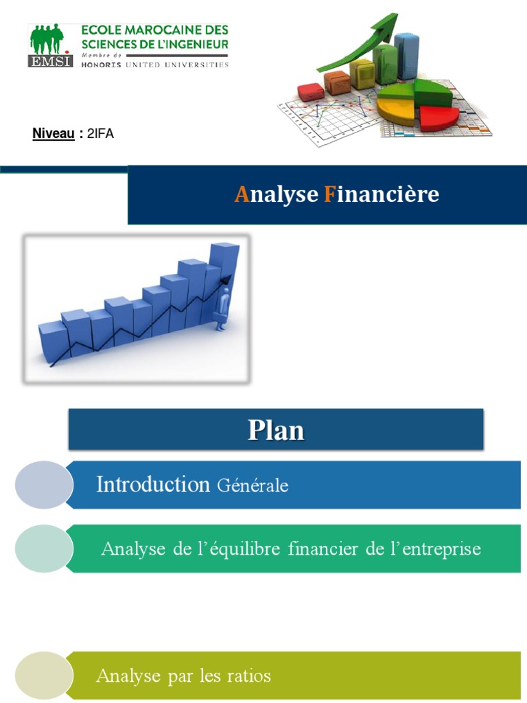 Analyse Financière | PDF | Bilan comptable | Capitaux propres