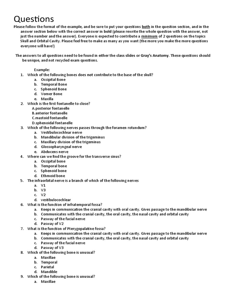 Skull and Orbital Cavity Anatomy Questions | PDF | Skull | Anatomy