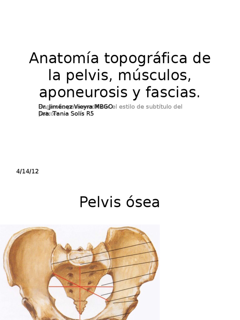Anatomía topográfica de la pelvis, músculos,