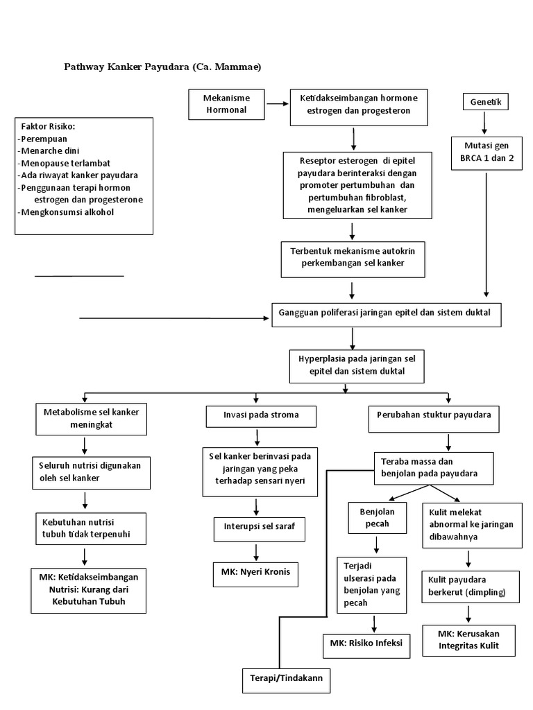 Pathway Kanker Payudara | PDF