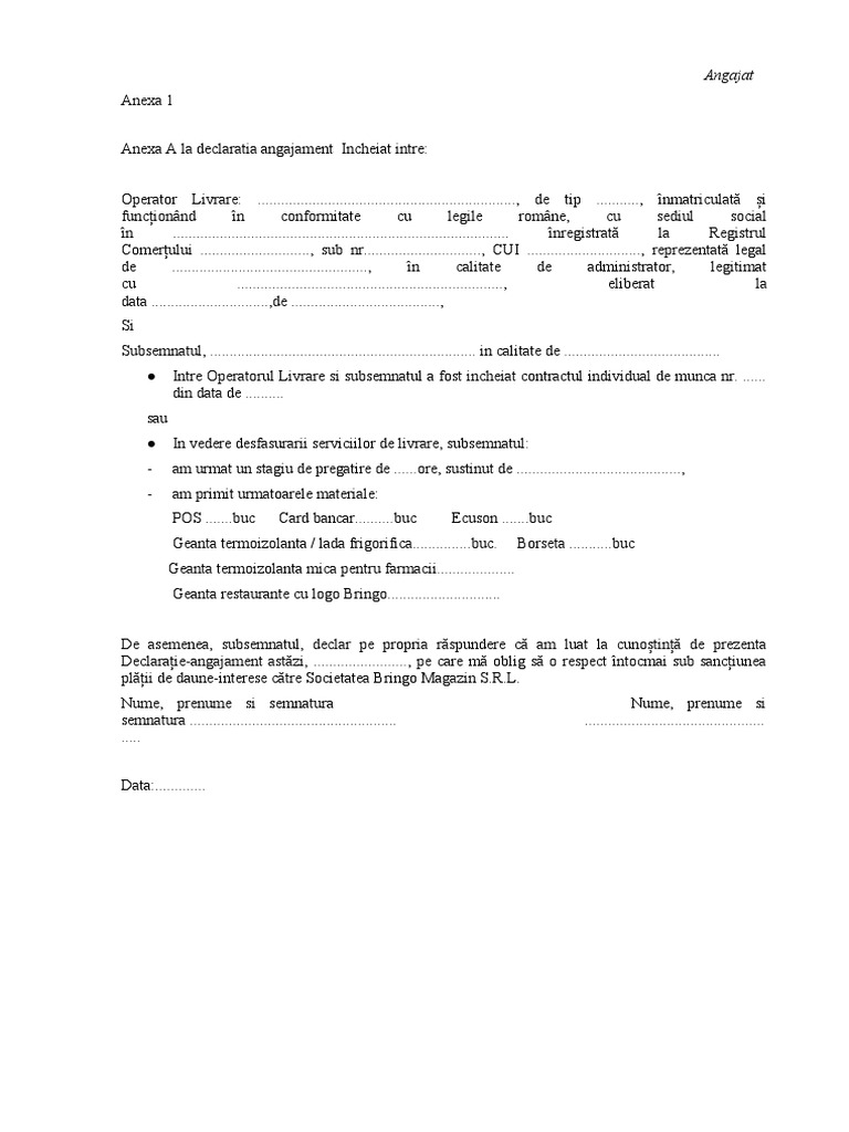 Declaratie Angajat | PDF