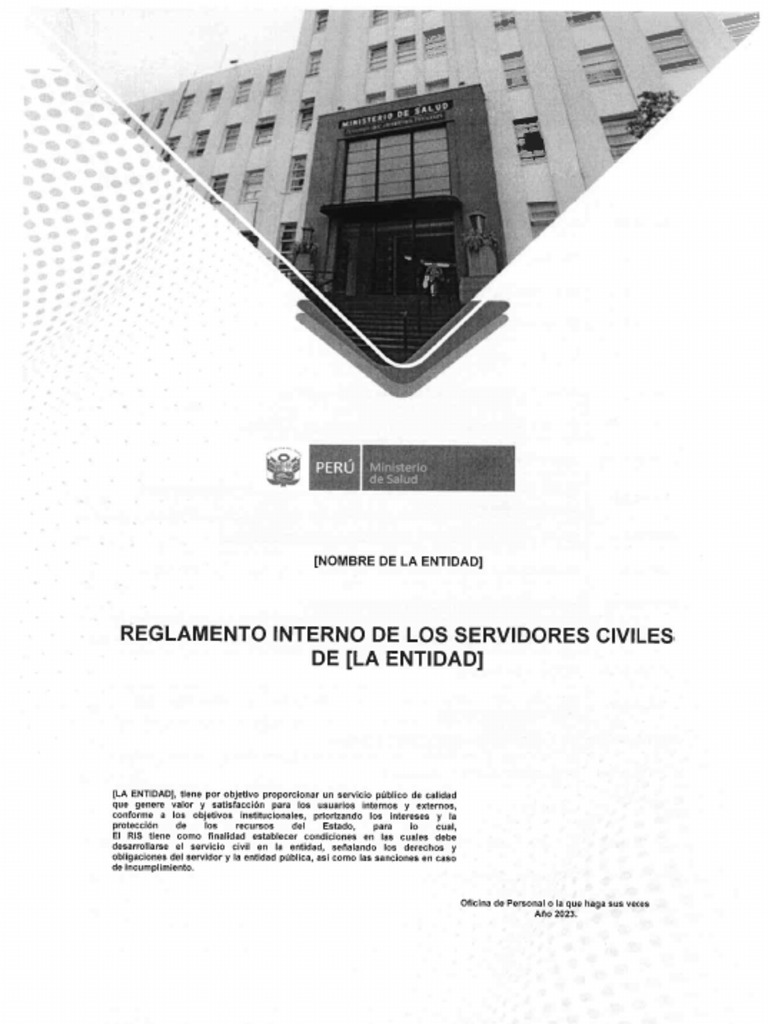 Ris Minsa - Adj de RM 516-2023-Minsa | PDF