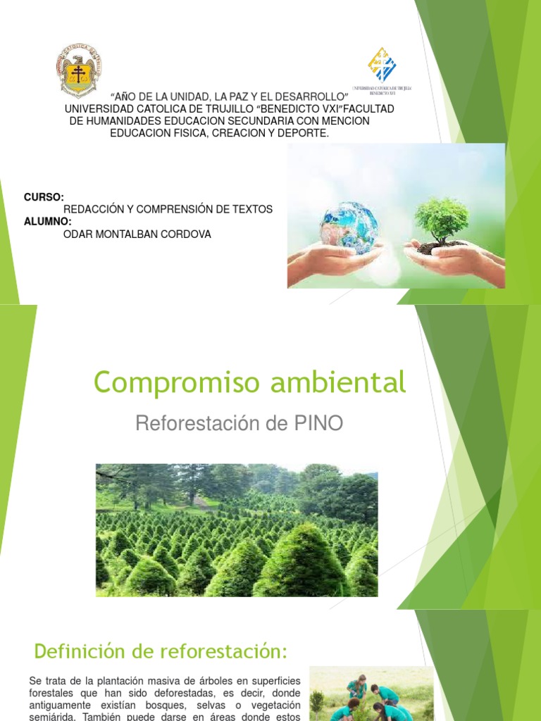 compromiso ambiental | PDF | Arboles | Entorno natural