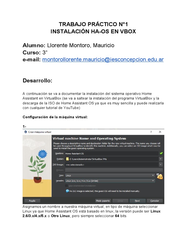 Mauricio Montoro Llorente - Trabajo Practico #1 - Instalando HAOS en VBox . | PDF | Máquina ...