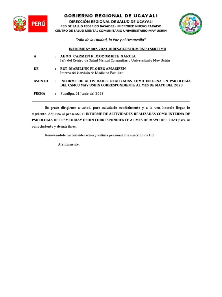 Modelo de Informe - Internado | PDF