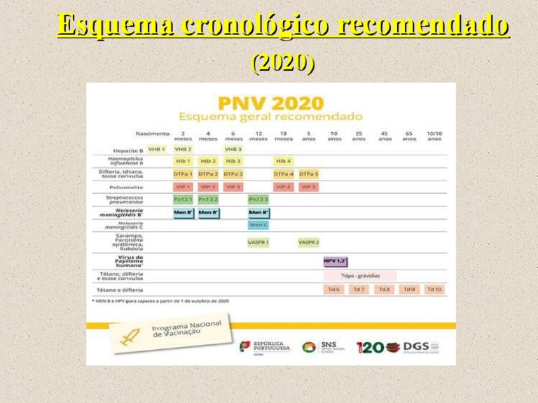 Vacinas - PNV 2020 Esquema Actual | PDF