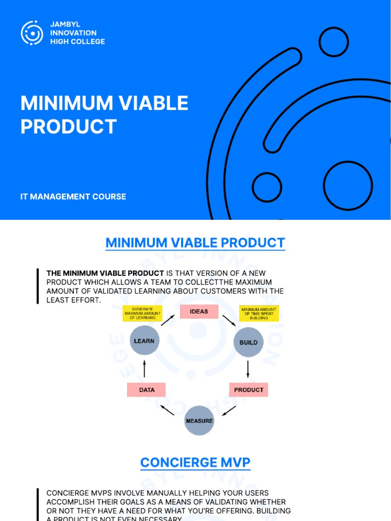 Minimum Viable Product | PDF