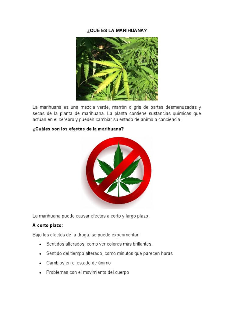 Qué Es La Marihuana | PDF Qué Es La Marihuana | PDF