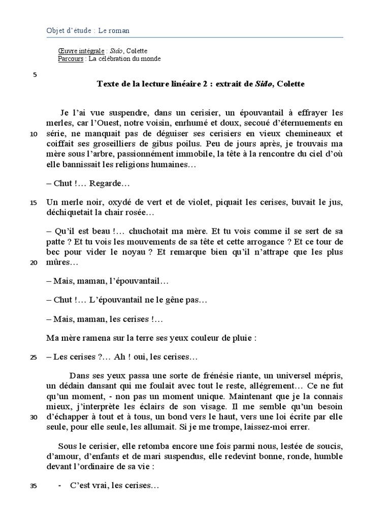 Le Merle Sido Ll2 Corrigé | PDF