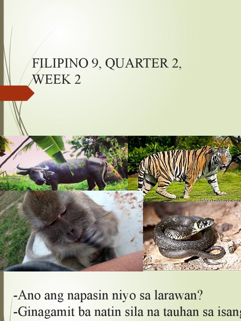 Filipino 9, Quarter 2, Pabula | PDF