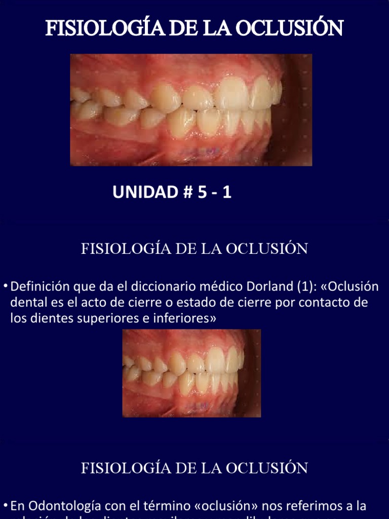 Tema 5-1 Fisiologia de La A.T.M. Fisiología de La Oclusión | PDF