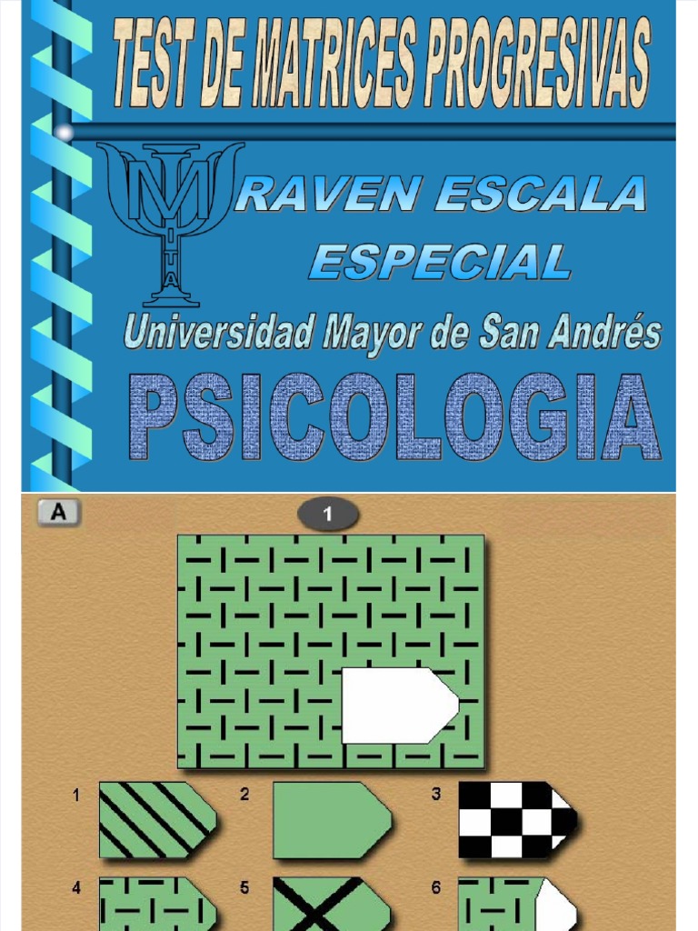 Dokumen - Tips - Test Raven Matrices Progresivas Color | PDF