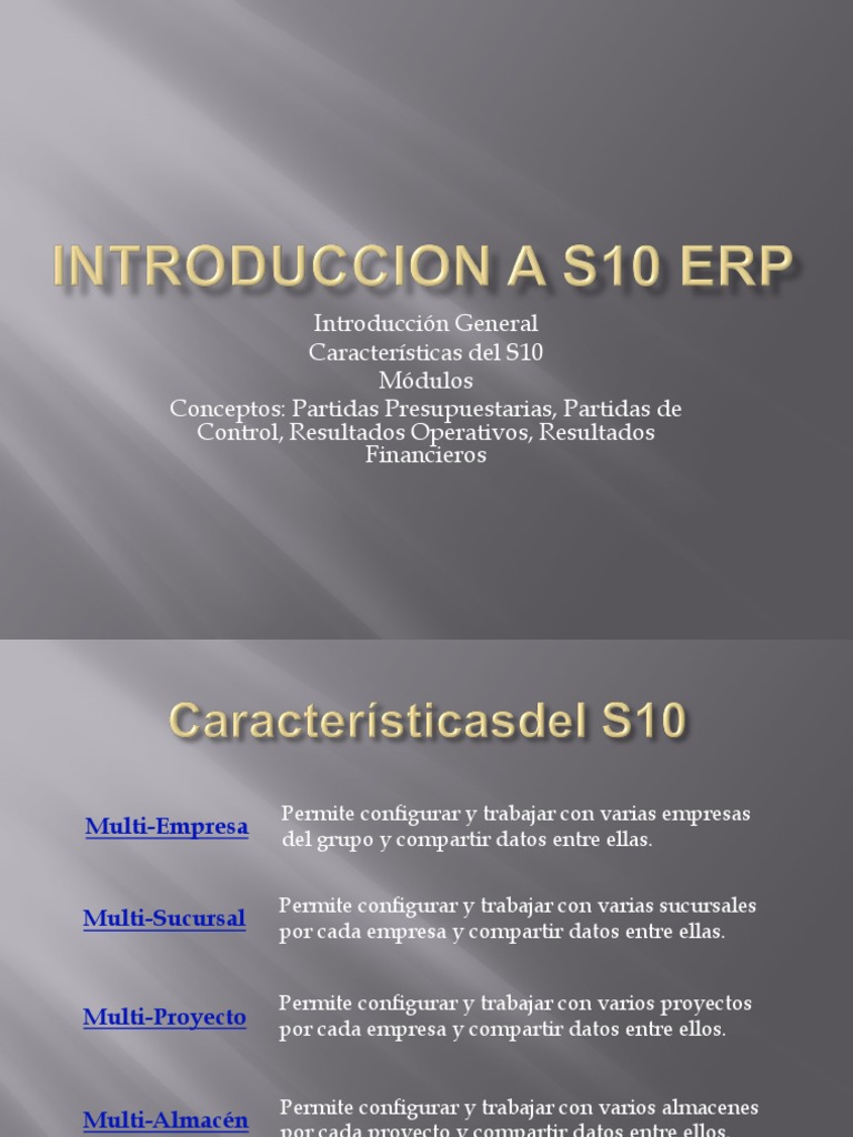 Introduccion a s10 erp | PDF