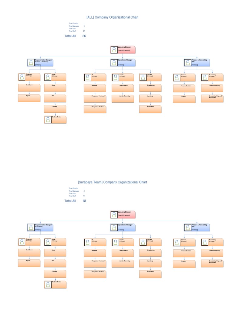 00. Company-organization-chart_V3 | PDF | Business Economics | Corporations
