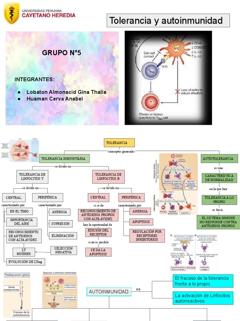 T11-PD11 - Grupo N°5 | PDF | Sistema inmune | Antígeno