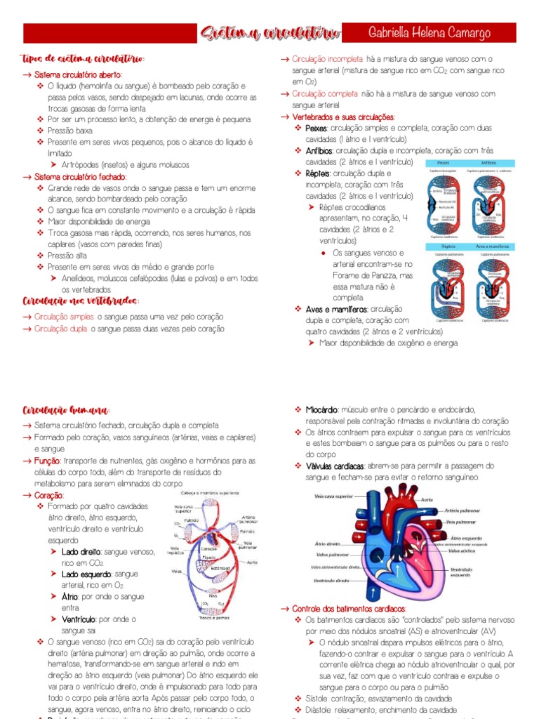 Sistema circulatório | PDF | Coração | Sistema circulatório