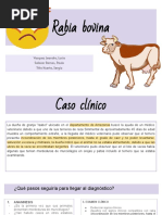 Técnica FAST y AFAST en Veterinaria - Todo Lo Que Debes Saber ...