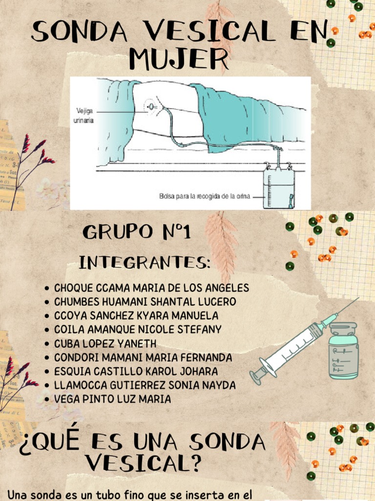 Grupo 1 Sondaje Vesical Mujer | PDF | Vejiga urinaria | Sistema urinario