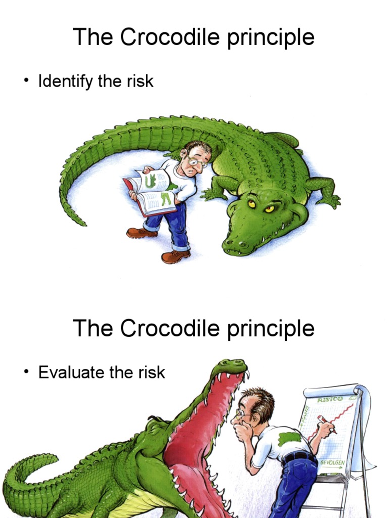 Crocodile Principle in Risk Assessment | PDF