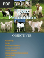 Goat Health Record Template | PDF | Goat | Domestication