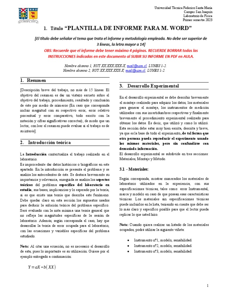 Plantilla de Informe-4 | PDF