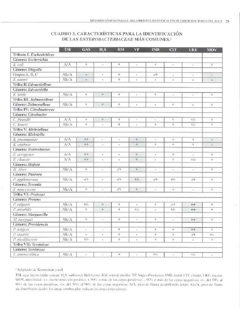 Identificacion de Enterobacterias | PDF