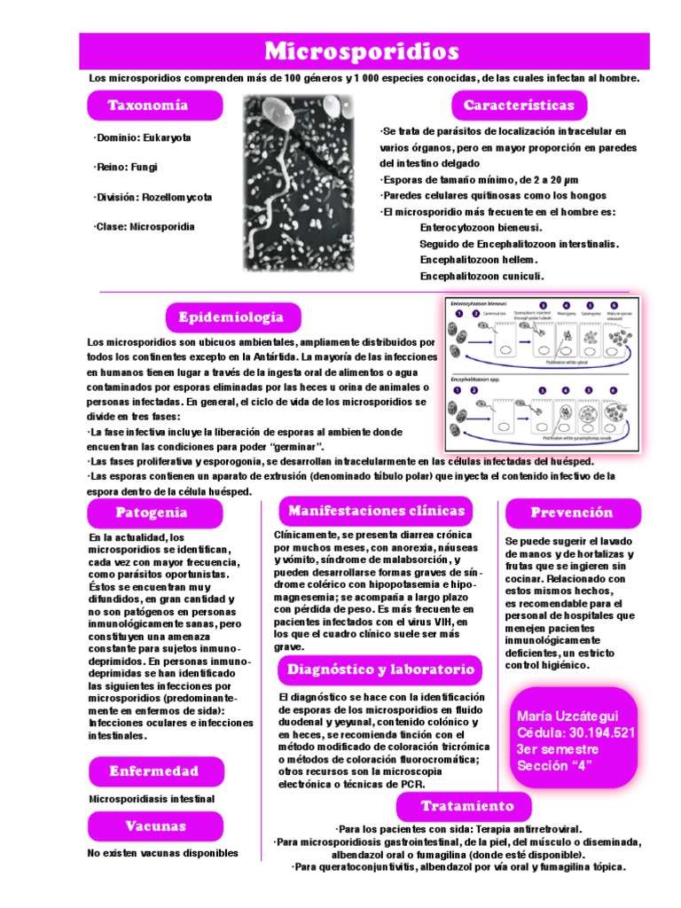 Laminario Microsporidios | PDF | VIH / SIDA | Microbiología