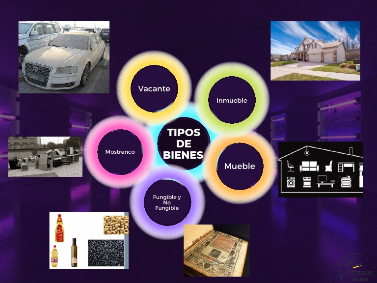 Tipos de Bienes | PDF