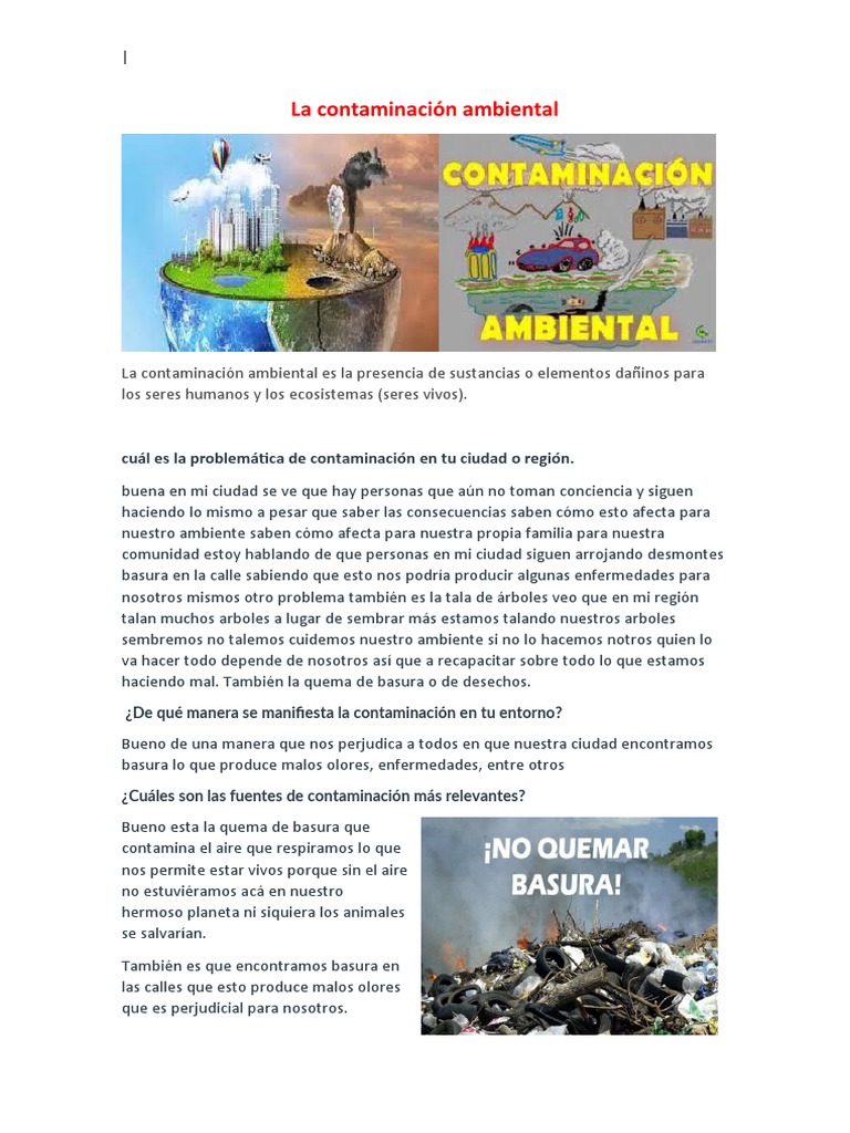 La contaminación ambiental | PDF | Contaminación | Residuos