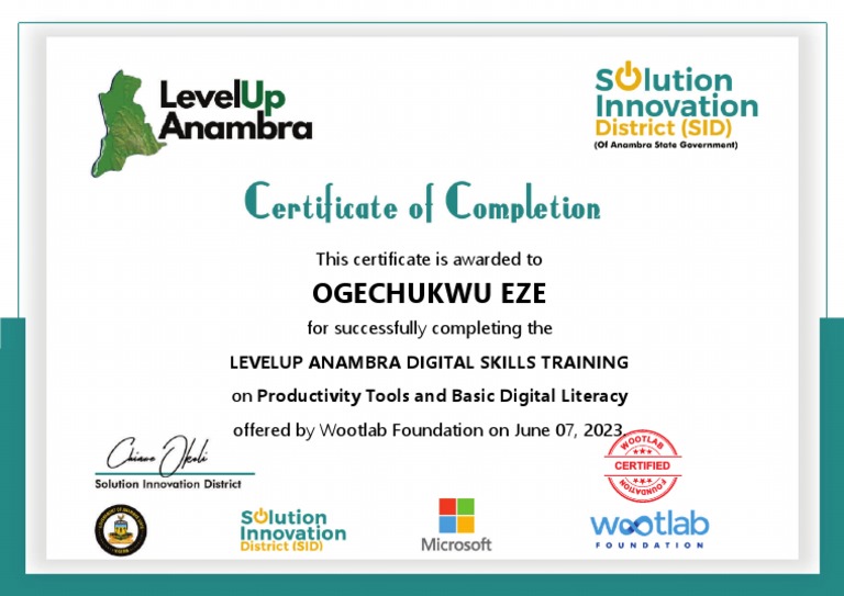 Digital Skills Certificate 2023 | PDF