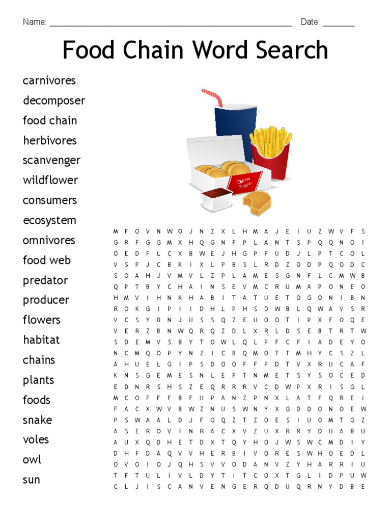 Food Chain Word Search | PDF | Foods | Food Web